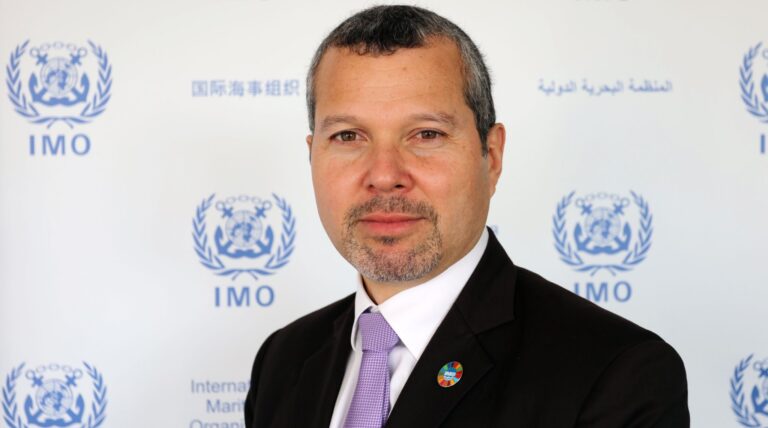 IMO head warns: No safe Strait of Hormuz passage | Maritime Insurance ...