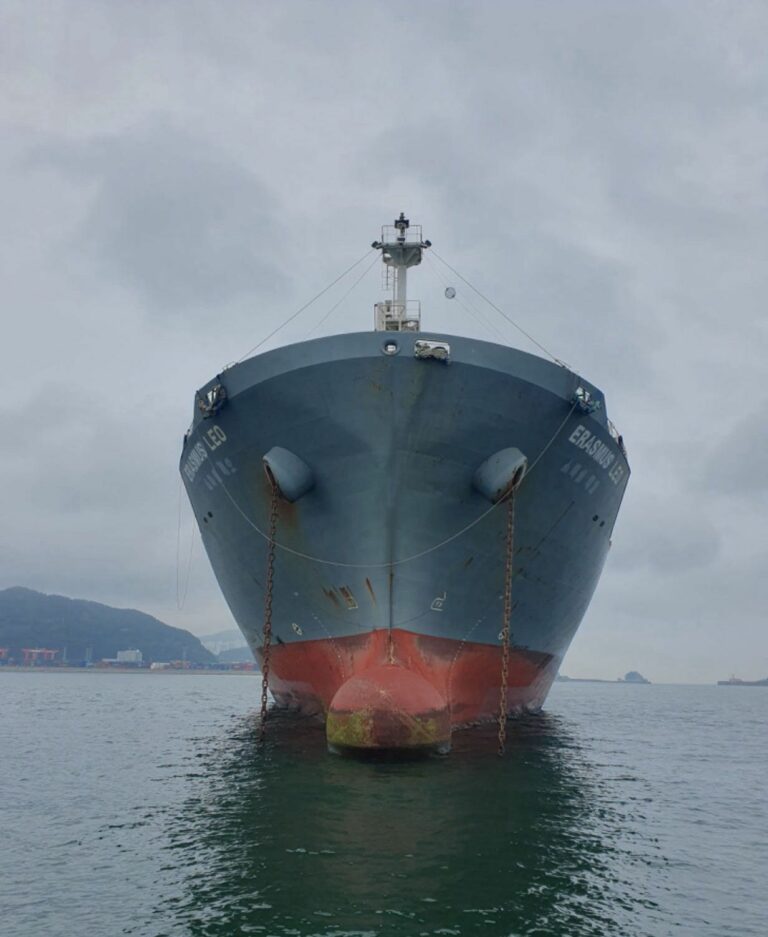 John Su Erasmus Shipinvest grows fleet with feeder boxship | Container ...