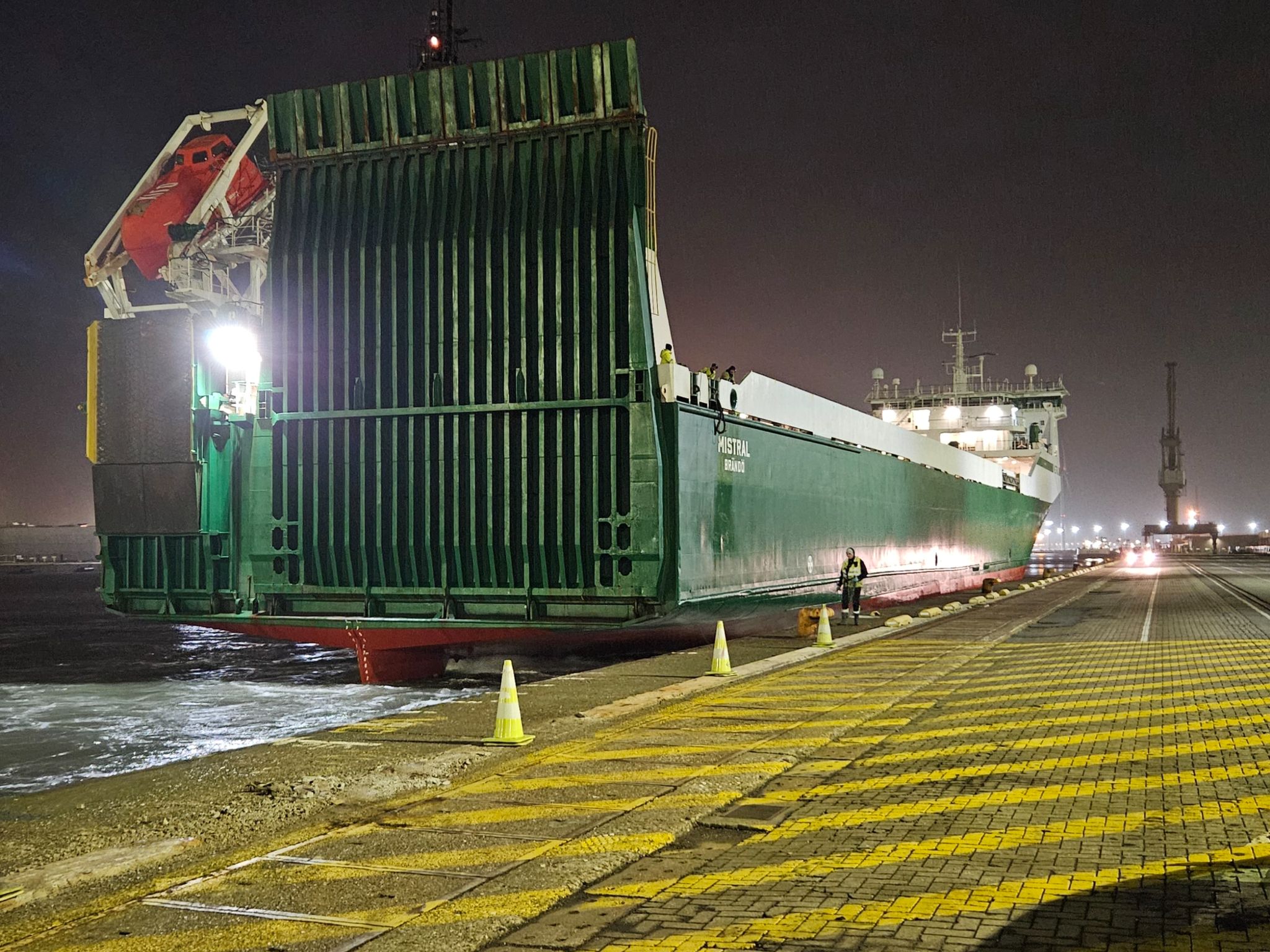 Godby Shipping unveils charter to DFDS as ‘roro rates strong’ | Freight ...